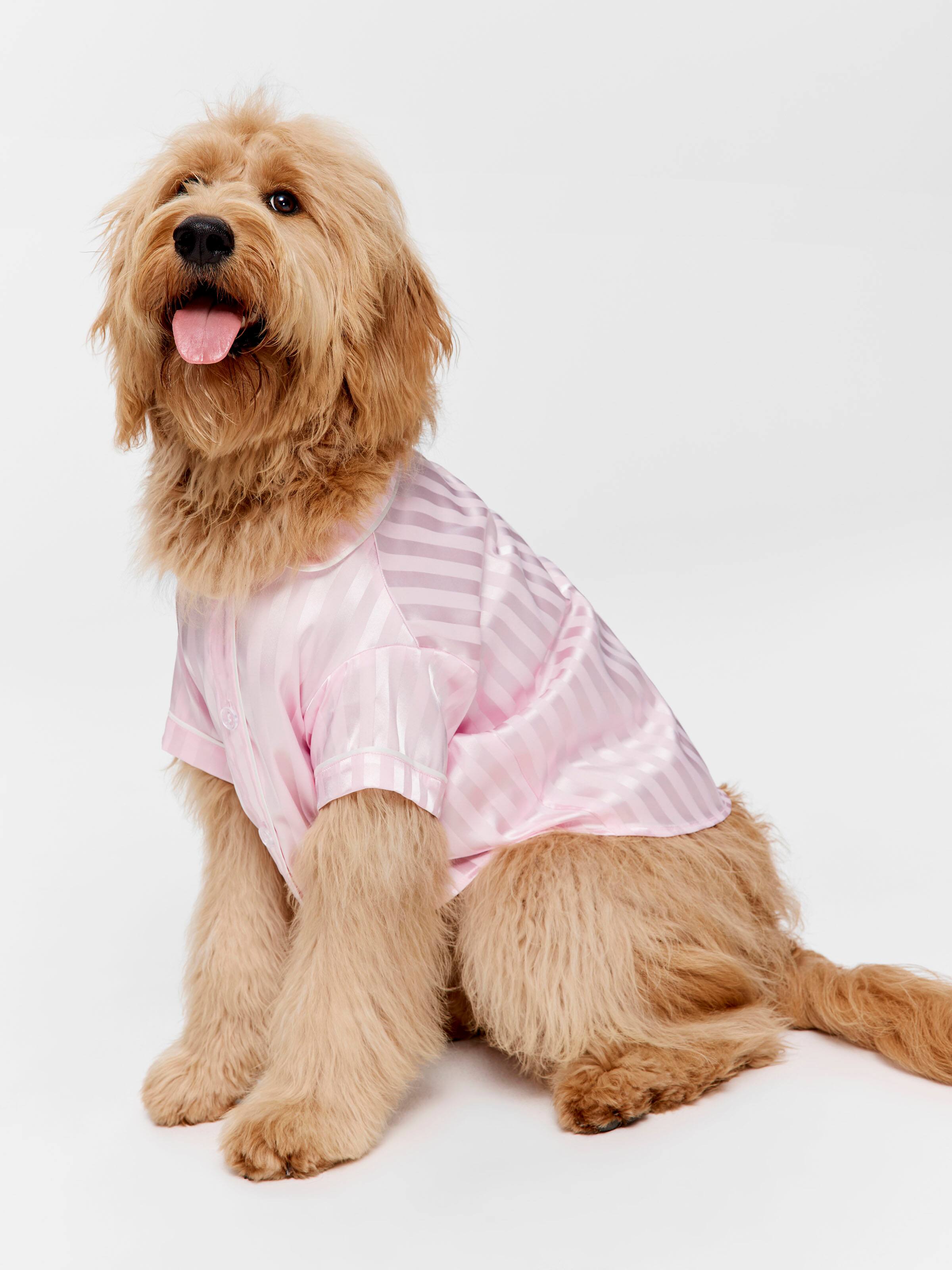 Pink | Peter Alexander Online